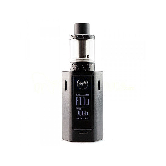 Wismec Reuleaux RX Mini TC Kit by JayBo Designs - Vapor Authority